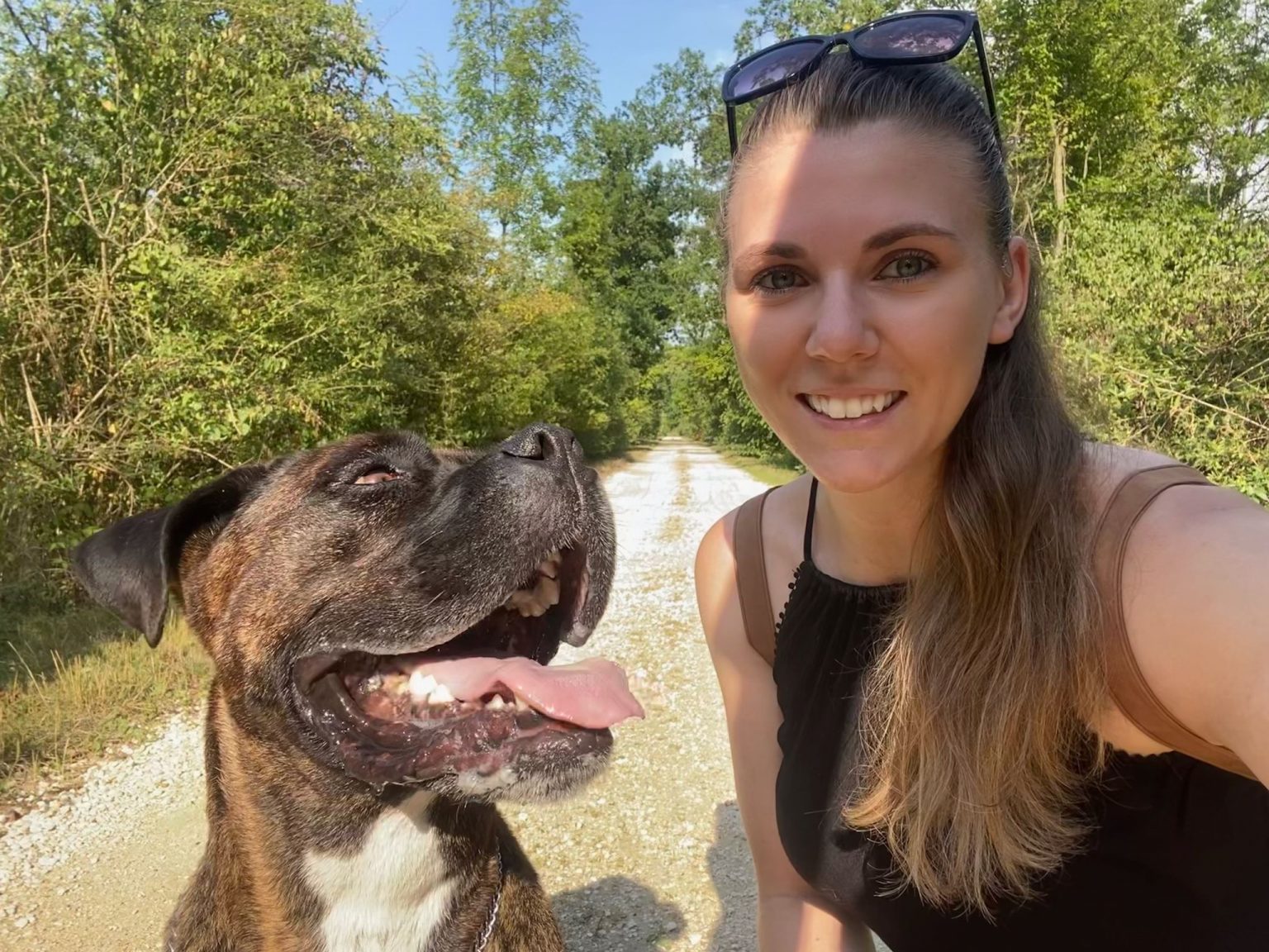 Der Vorstand – Tierheim Günzburg